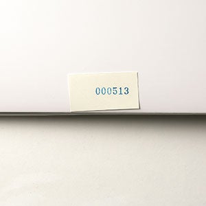 球体 9『機会 OPPORTUNITIES』